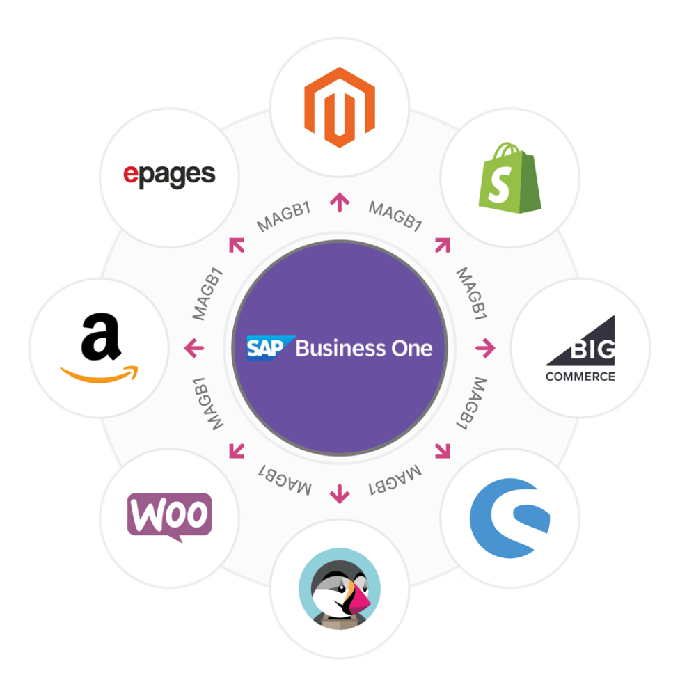 eCommerce Integration with SAP Business One